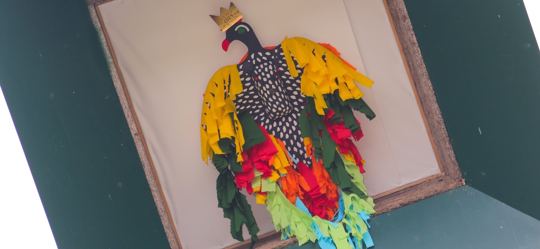 Gaupel in Bildern - Bilder/Videos