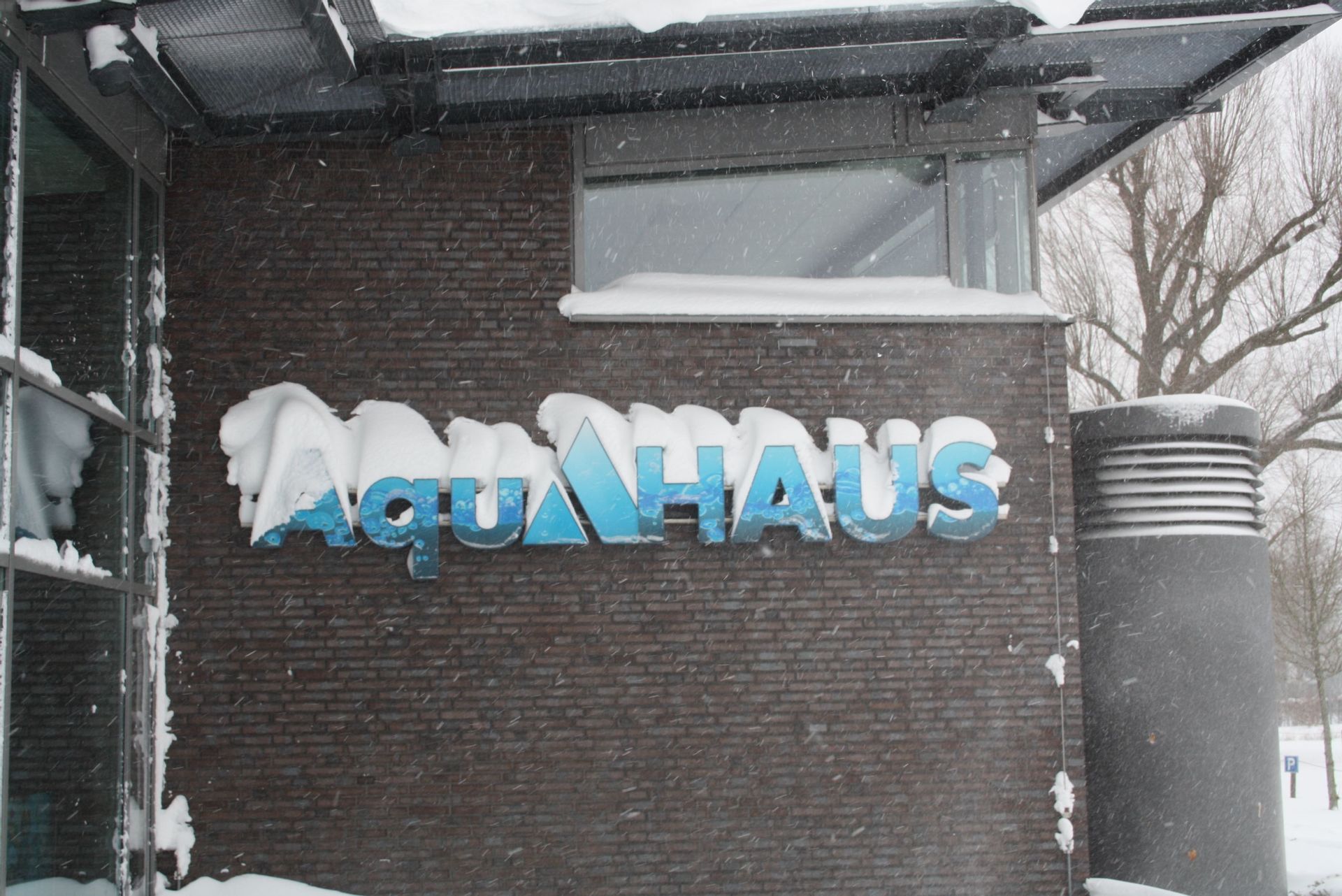 Aktuell | AquAHAUS