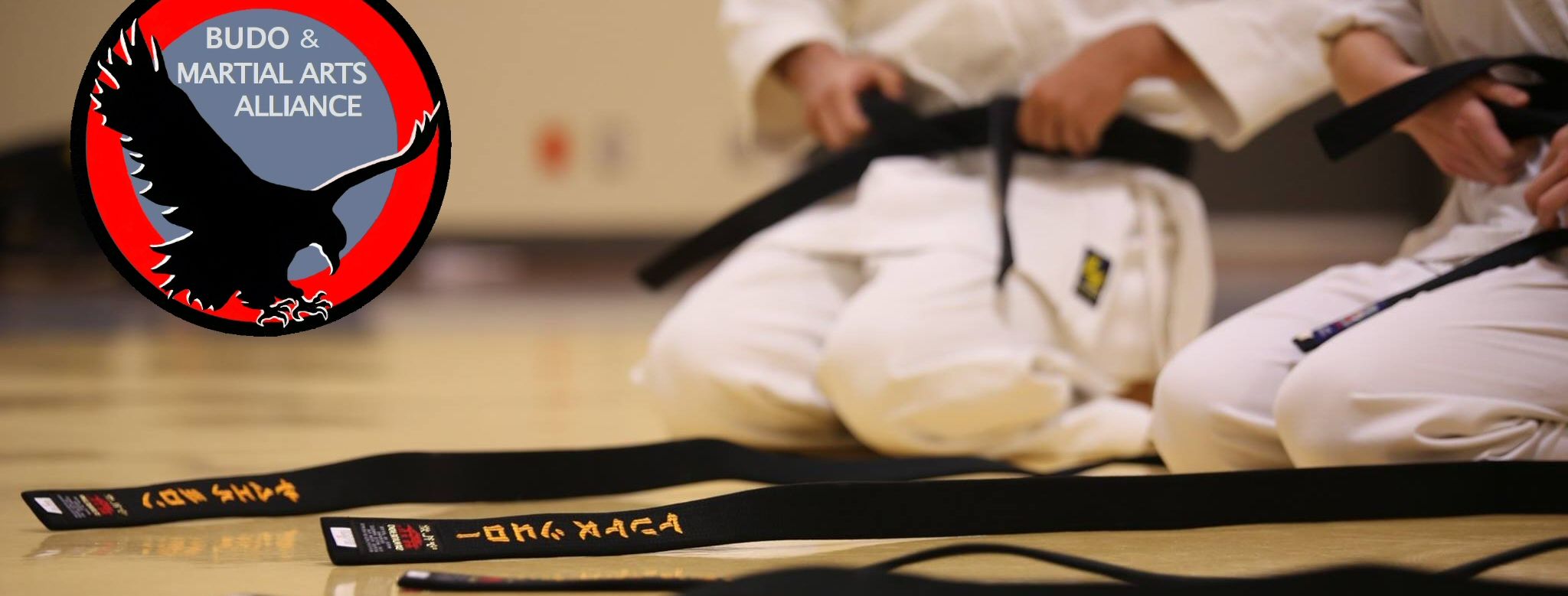 Vorteile der Budo & Martial Arts Alliance