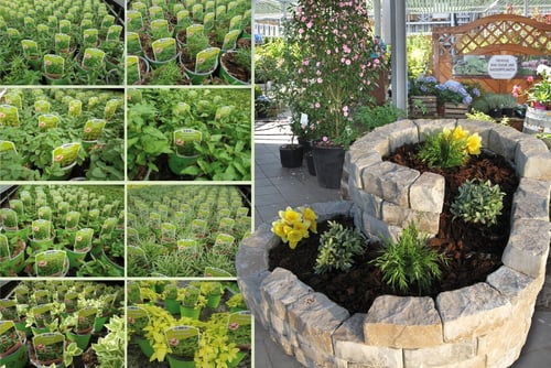 multi Süd Garten & Freizeit | multi-Markt